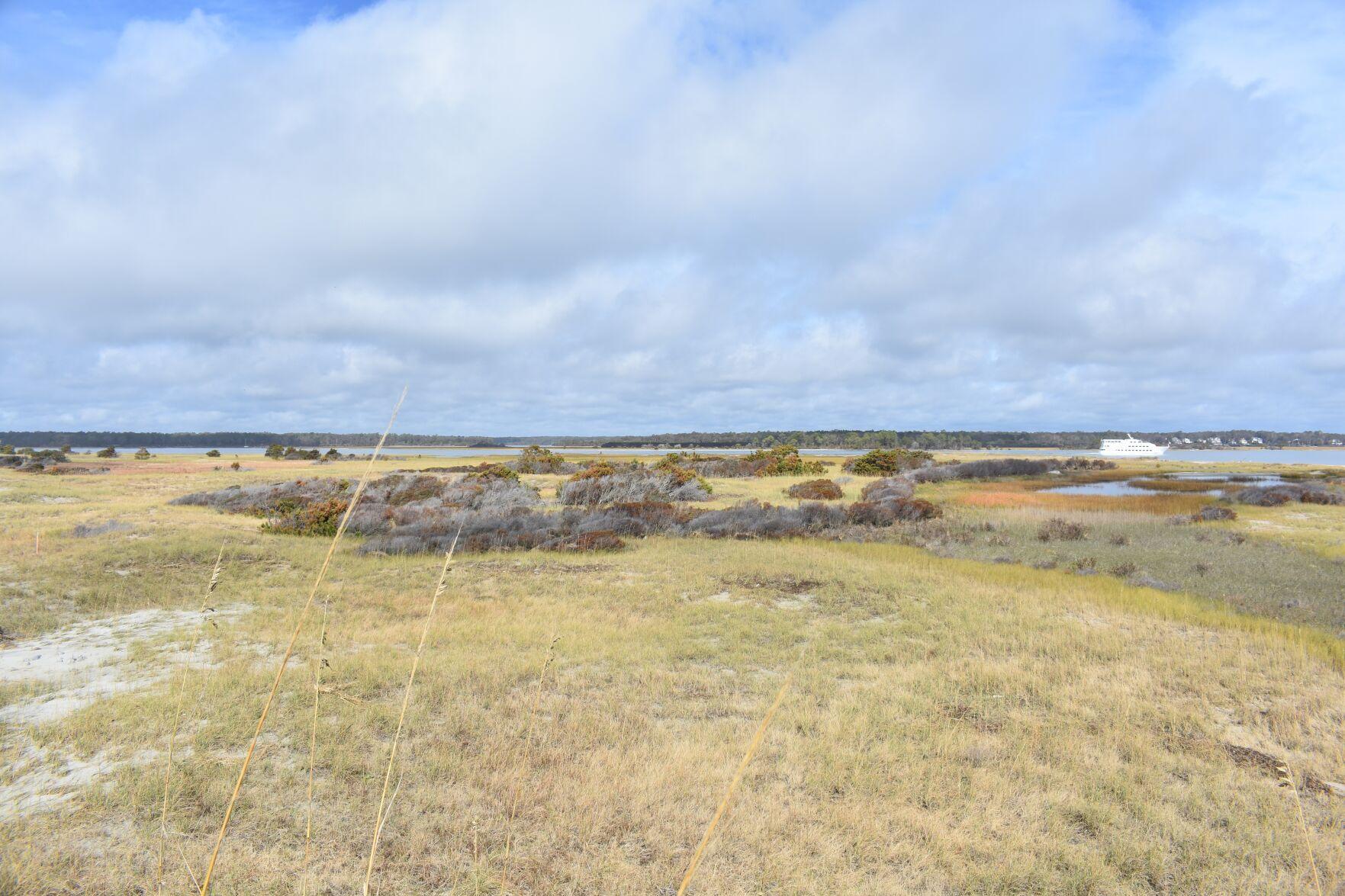 Parts of SC barrier island safe from development after $500K Google ...